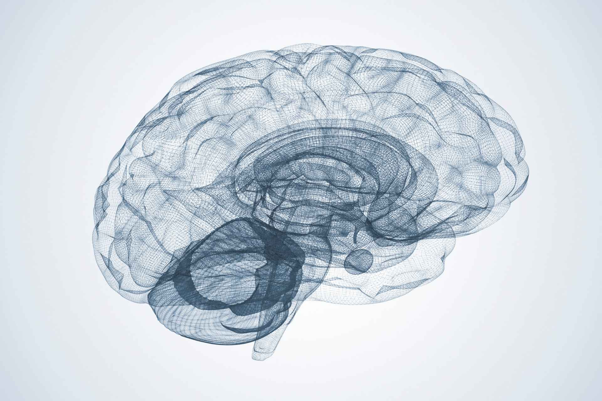 The power of lutein and zeaxanthin: key nutrients for brain health