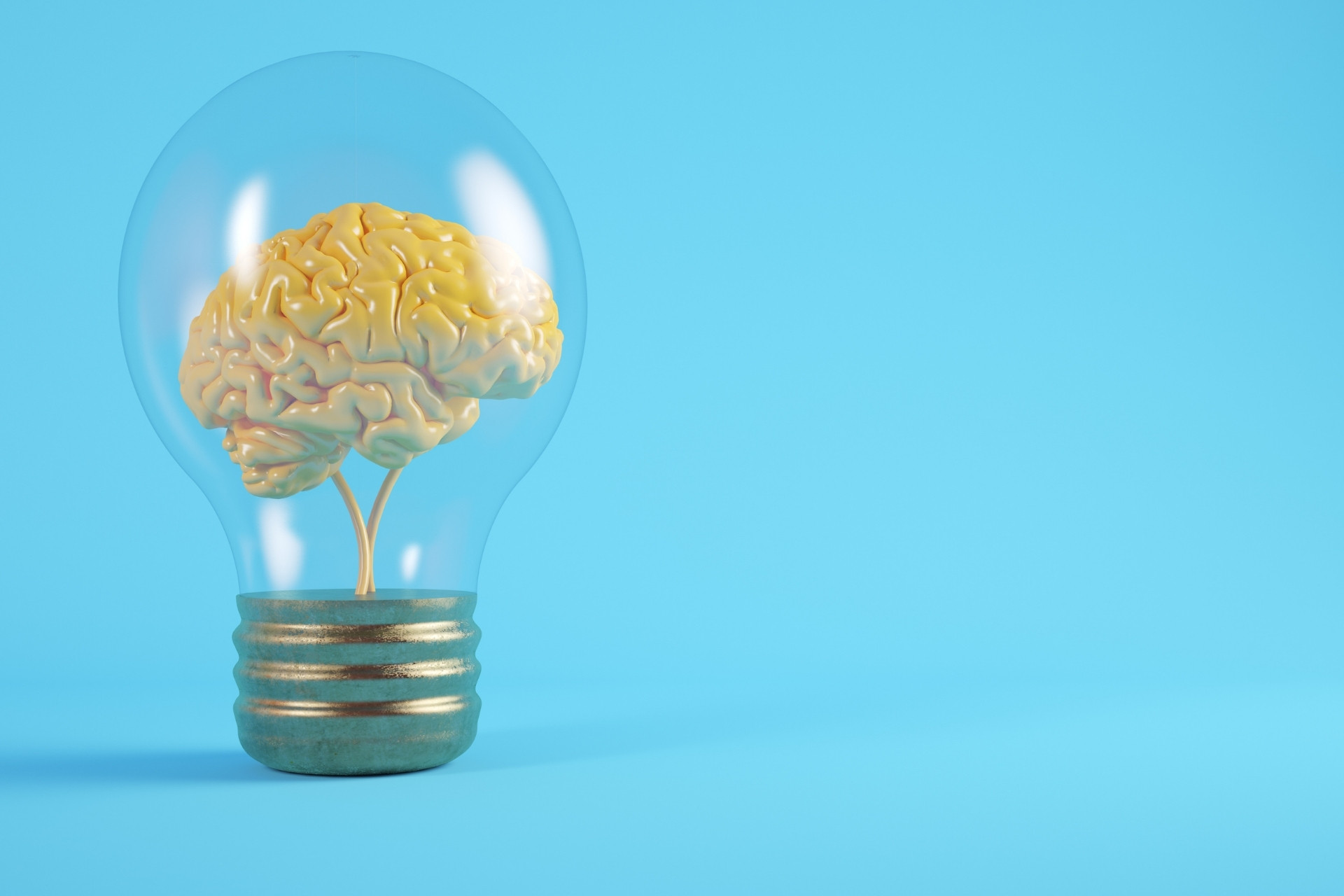 Brain Plasticity Decrease With Age Learn How To Keep Brain Flexible 1022